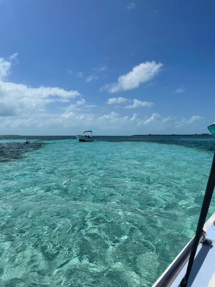 Belize Shark Ray Alley, Coral Gardens Snorkel, and Caye Caulker Island ...
