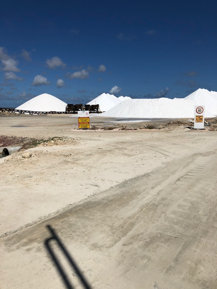 Bonaire Island Sightseeing Excursion - North and South Side, with local ...