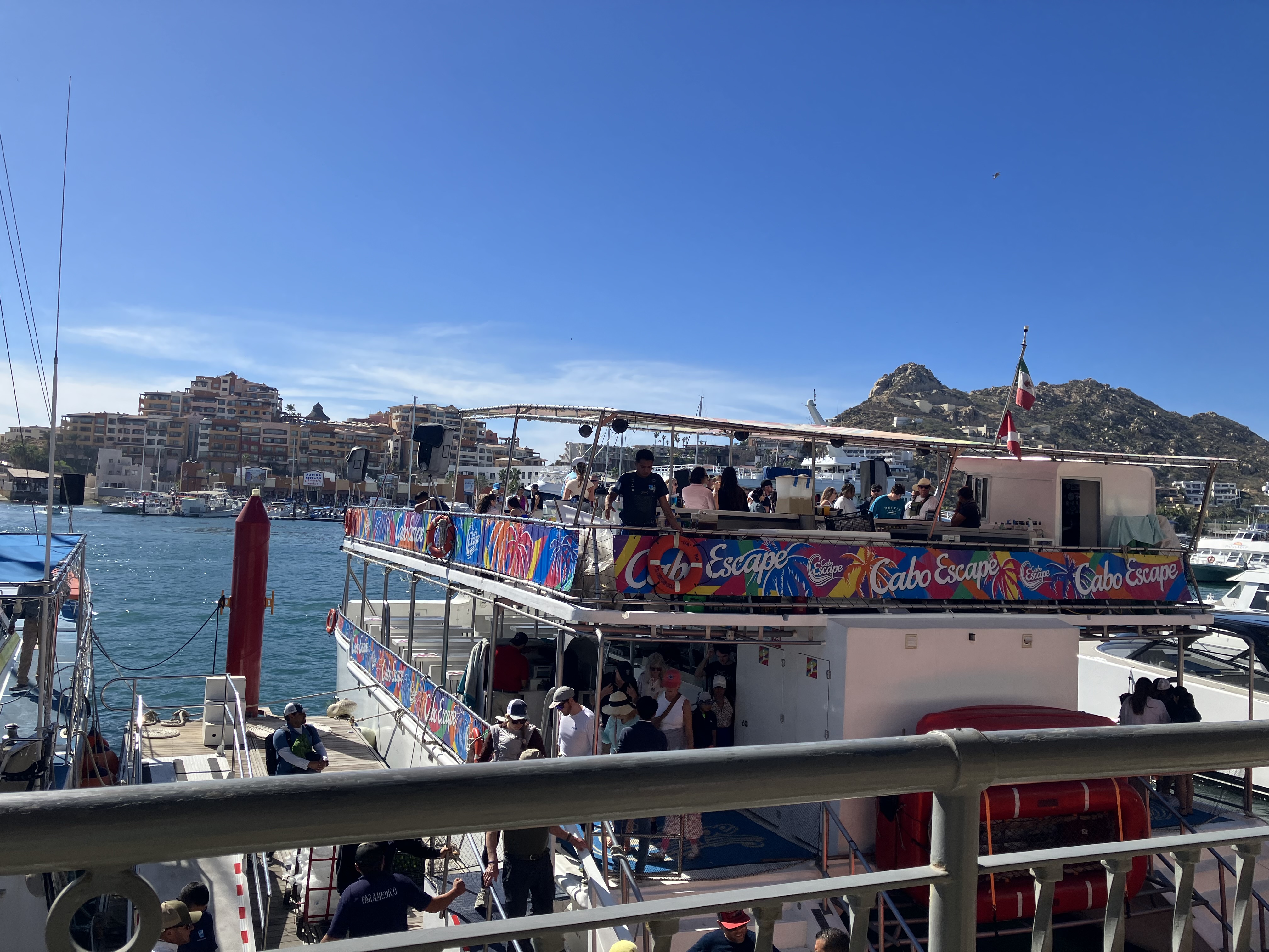 Cabo San Lucas Whale Watching Excursion with Breakfast and Open Bar ...