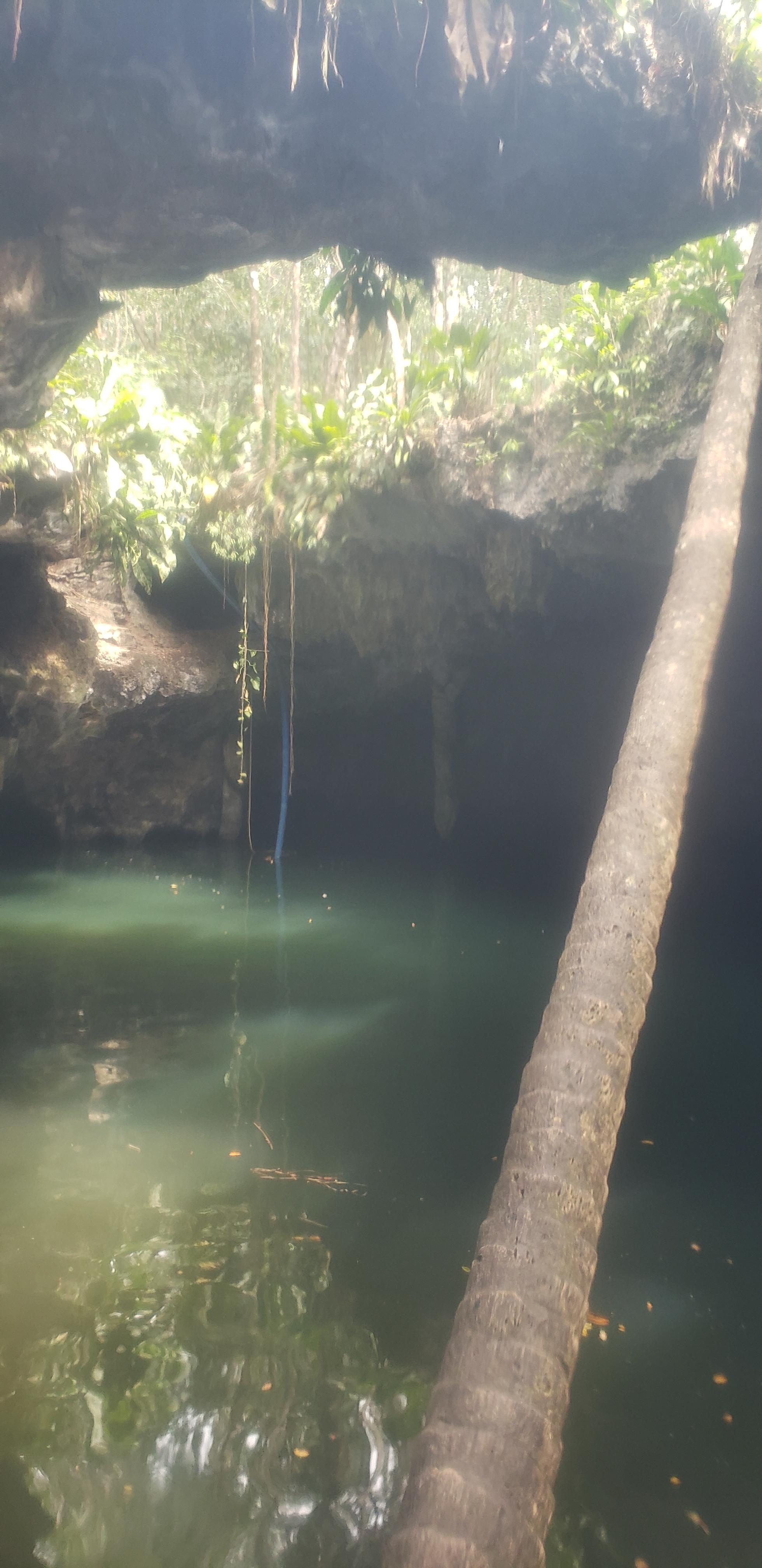 Cozumel Off-Road ATV, Jade Cavern, and Cenote Swim Jungle Adventure ...