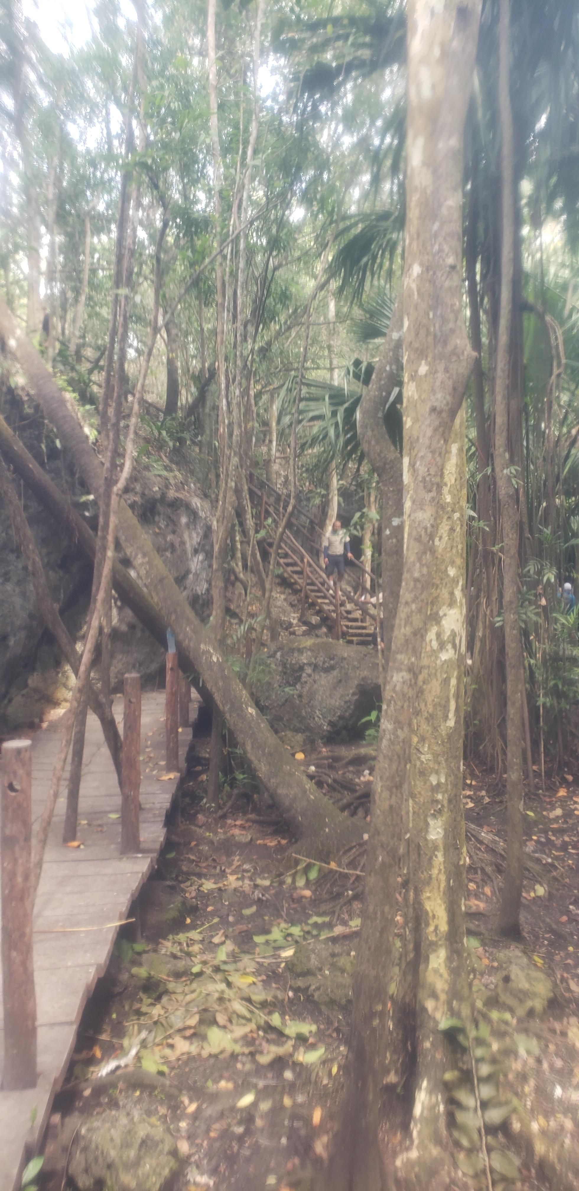 Cozumel Off-Road ATV, Jade Cavern, and Cenote Swim Jungle Adventure ...