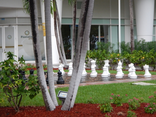 Freeport Grand Lucayan Beach Resort Day Pass - Freeport Excursions