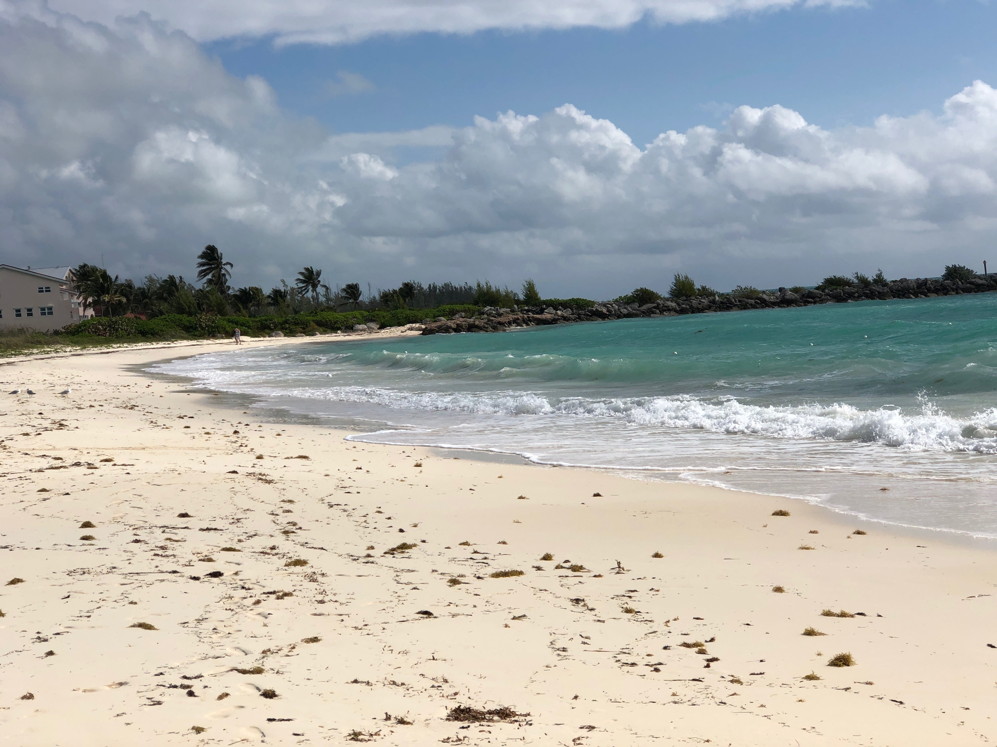 Freeport Prop Club Beach Bar and Grill at Grand Lucayan Day Pass ...