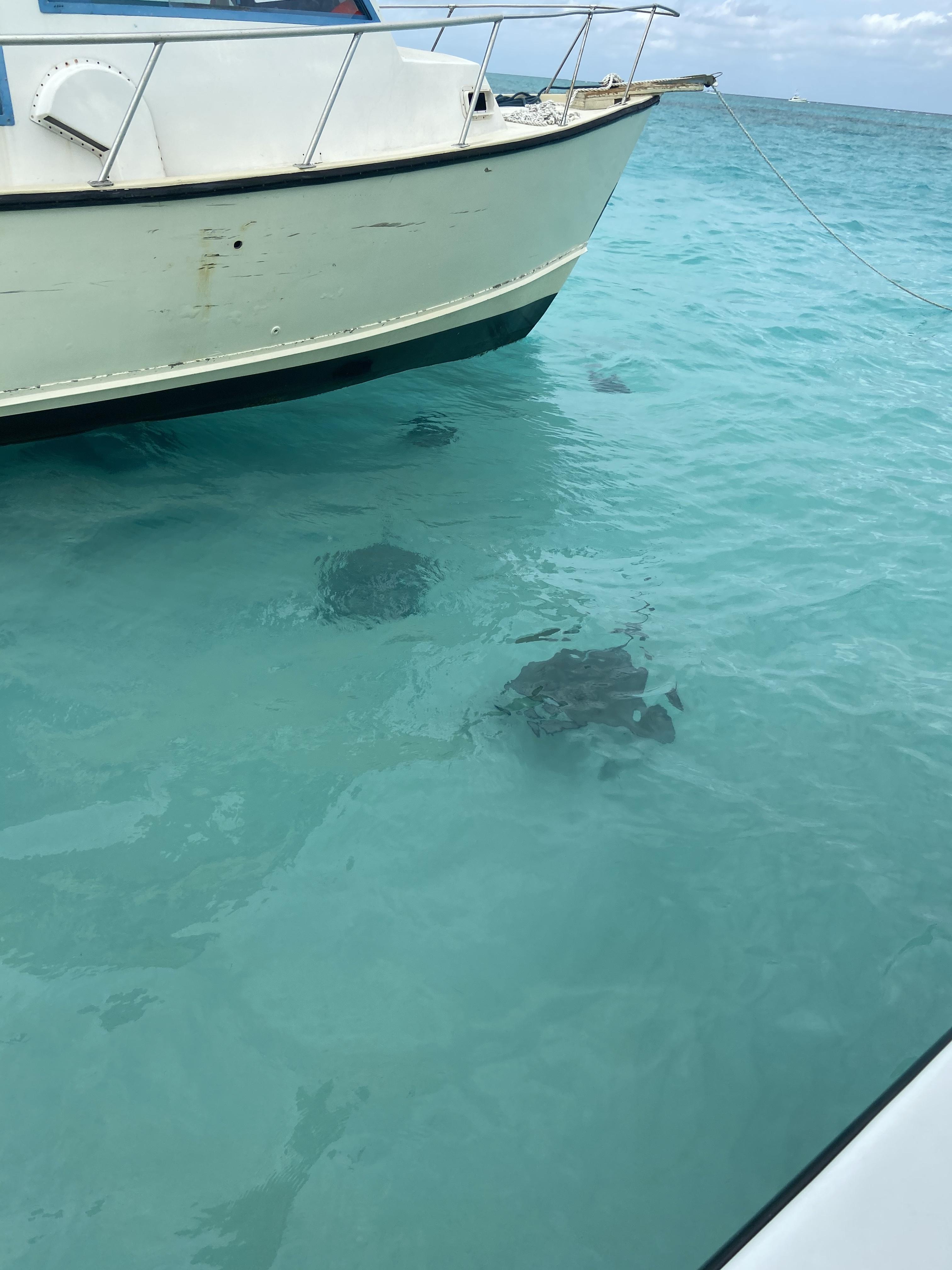 Grand Cayman Starfish Point, Stingray City Sandbar, and Barrier Reef or ...