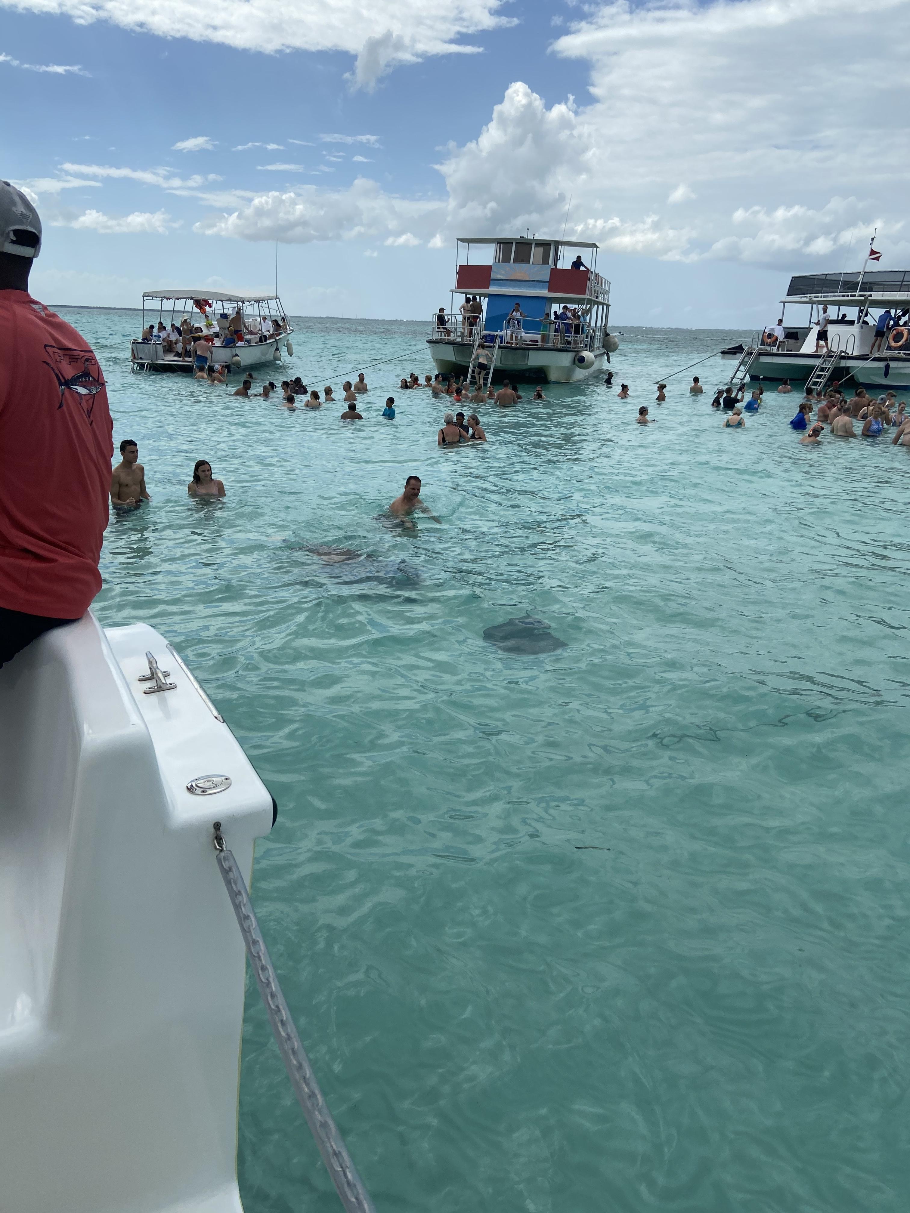 Grand Cayman Starfish Point, Stingray City Sandbar, and Barrier Reef or ...