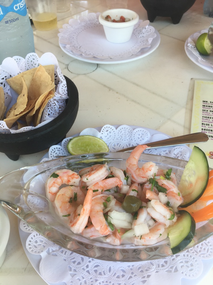 Mr. Sanchos Beach All Inclusive Day Pass Cozumel - Cozumel Excursions