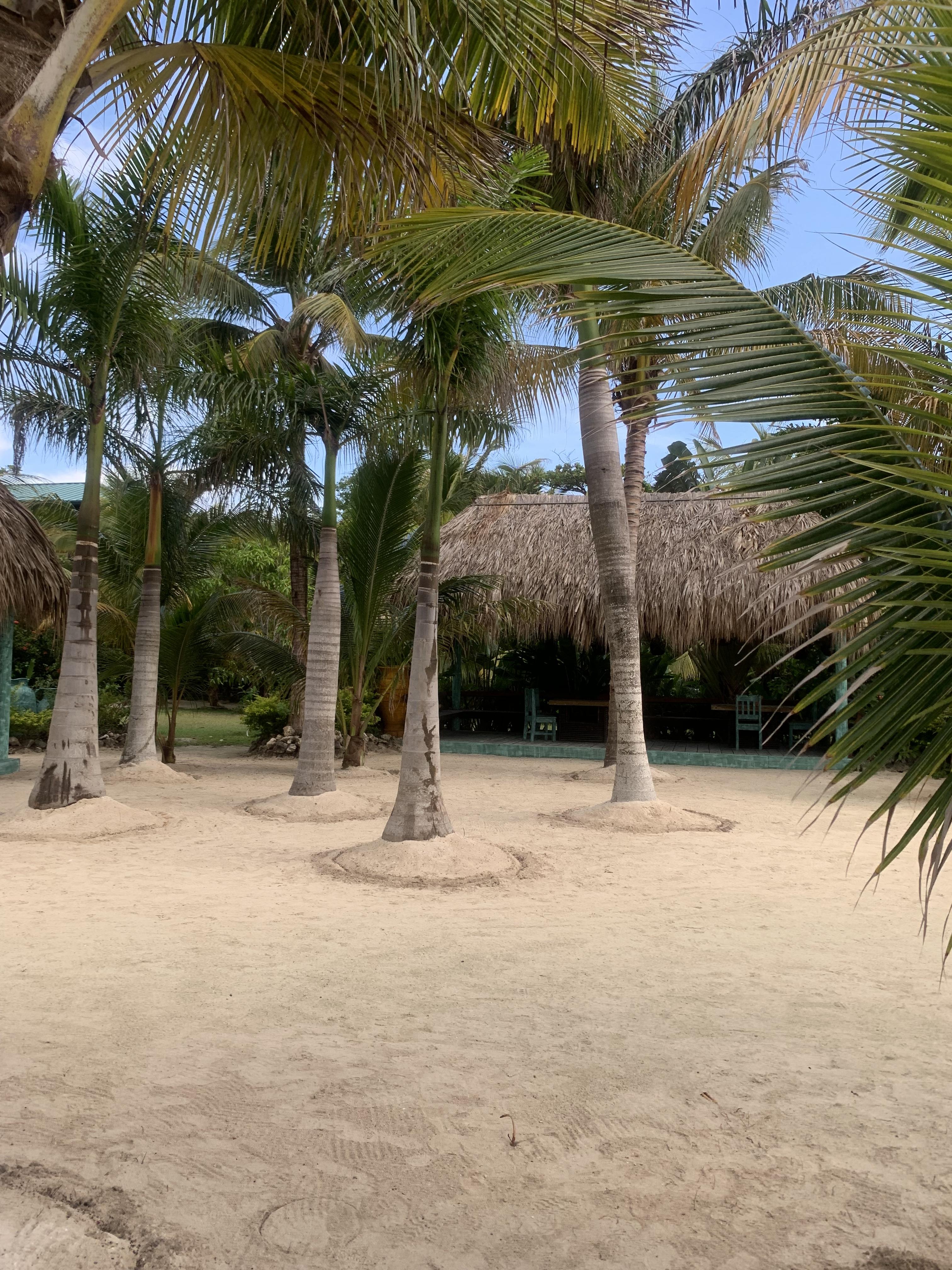 Roatan Little French Key Private Island Beach Resort Day Pass Excursion ...