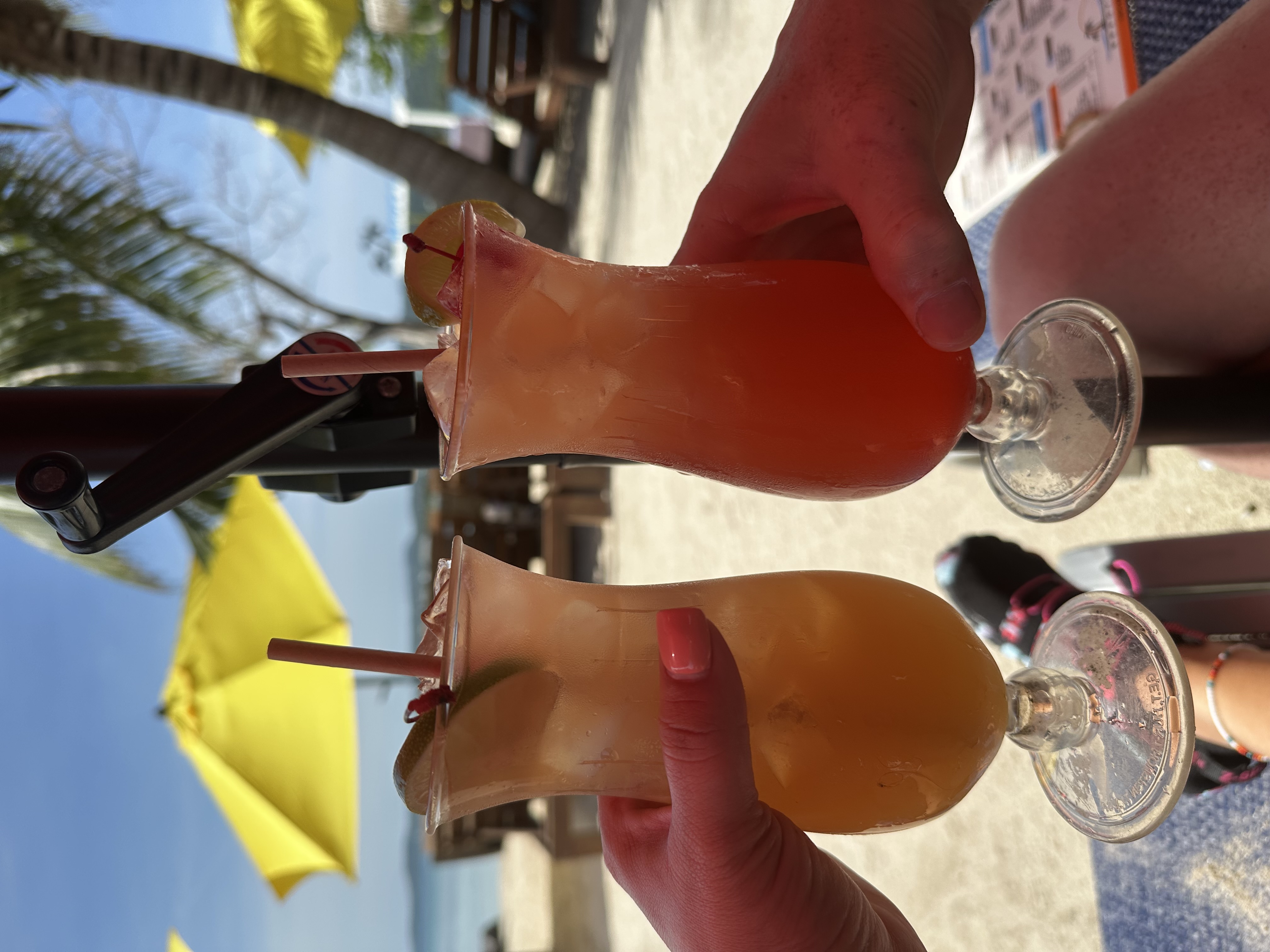 Roatan Monkeys, Sloths, Snorkeling, and Brady's Cay Private Island ...