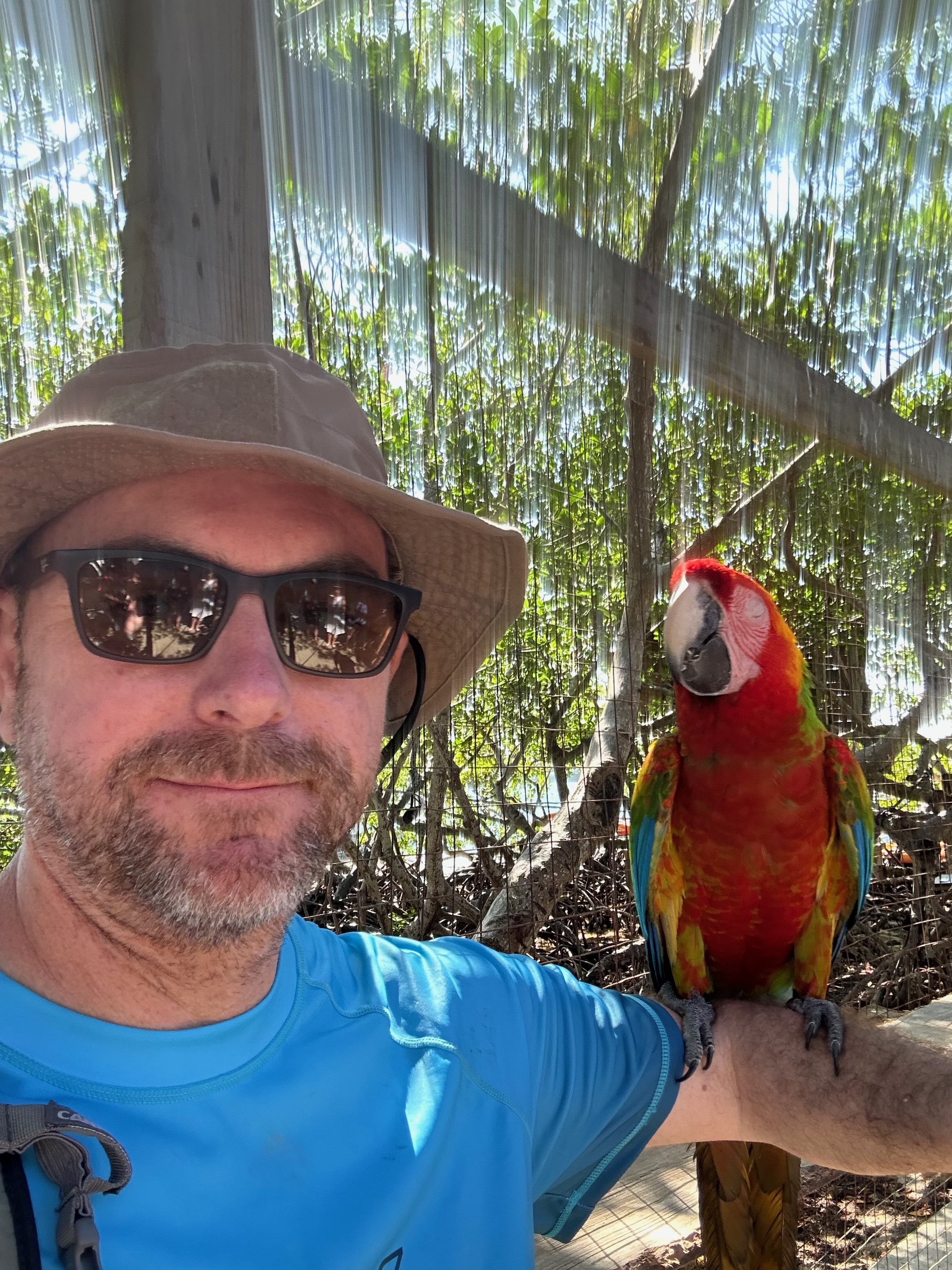 Roatan Relaxed Drift Snorkel, Monkey and Sloth Hangout, and Beach ...