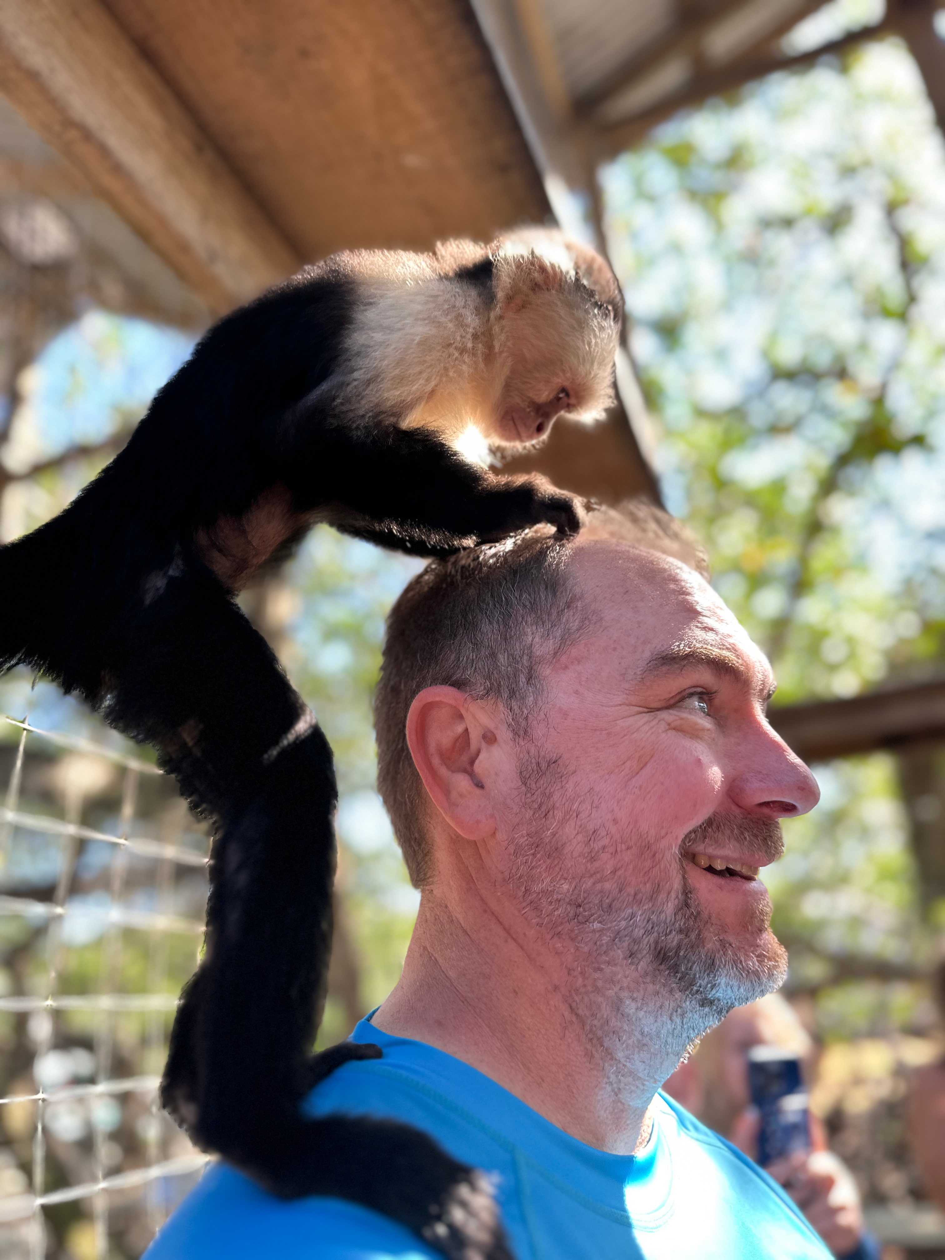 Roatan Relaxed Drift Snorkel, Monkey and Sloth Hangout, and Beach ...