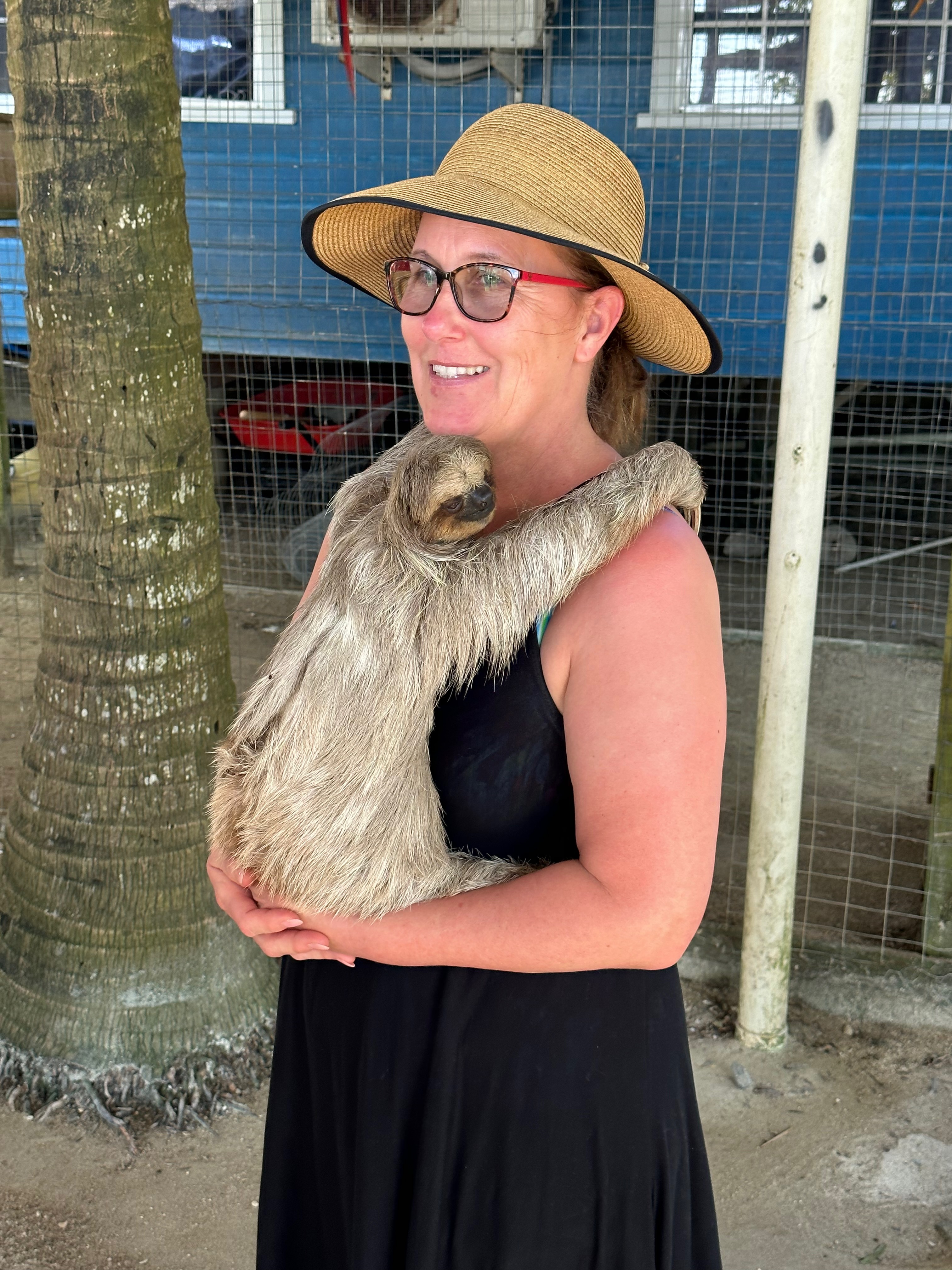 Roatan Relaxed Drift Snorkel, Monkey and Sloth Hangout, and Beach ...