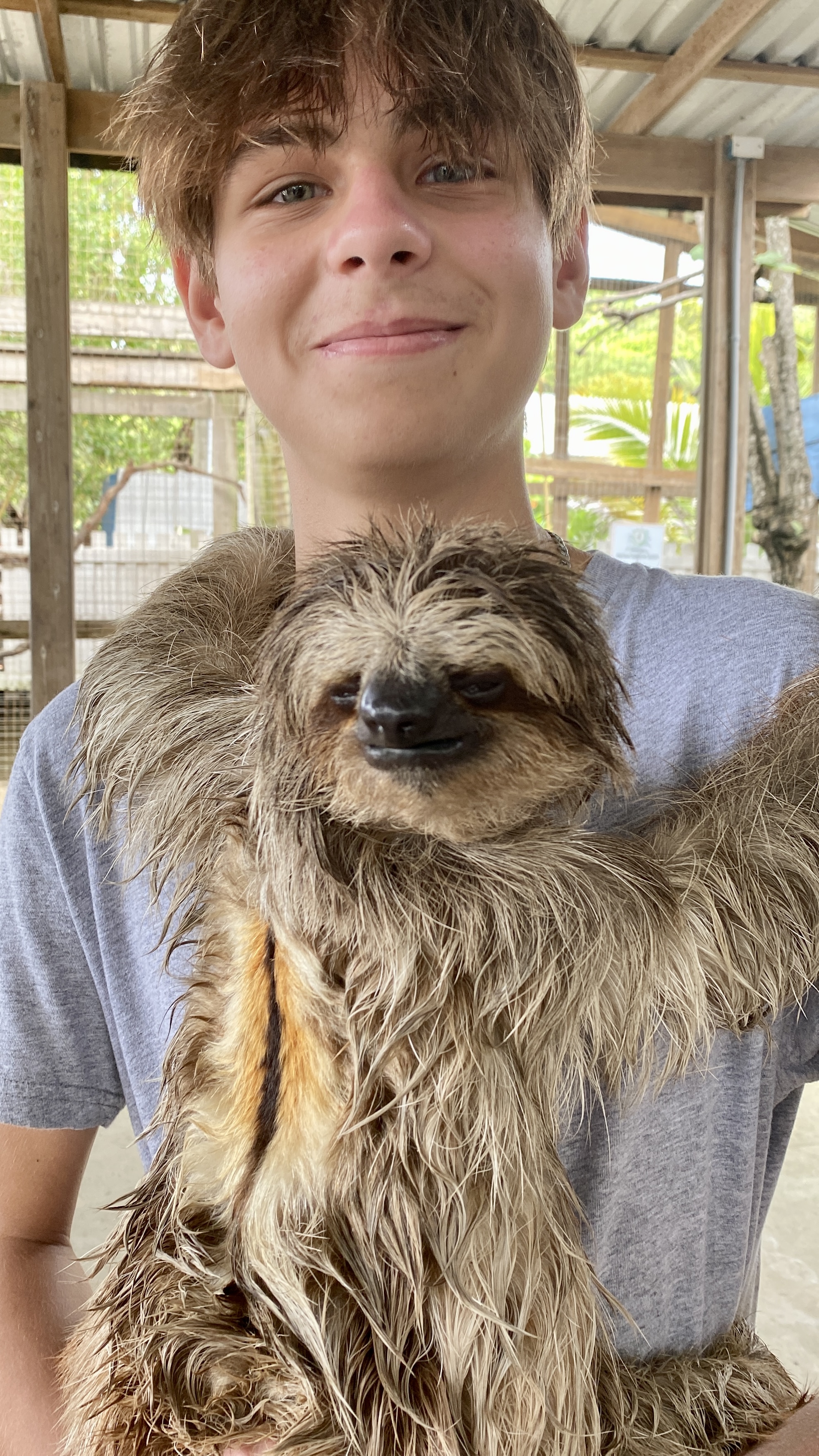 Roatan Relaxed Drift Snorkel, Monkey and Sloth Hangout, and Beach ...