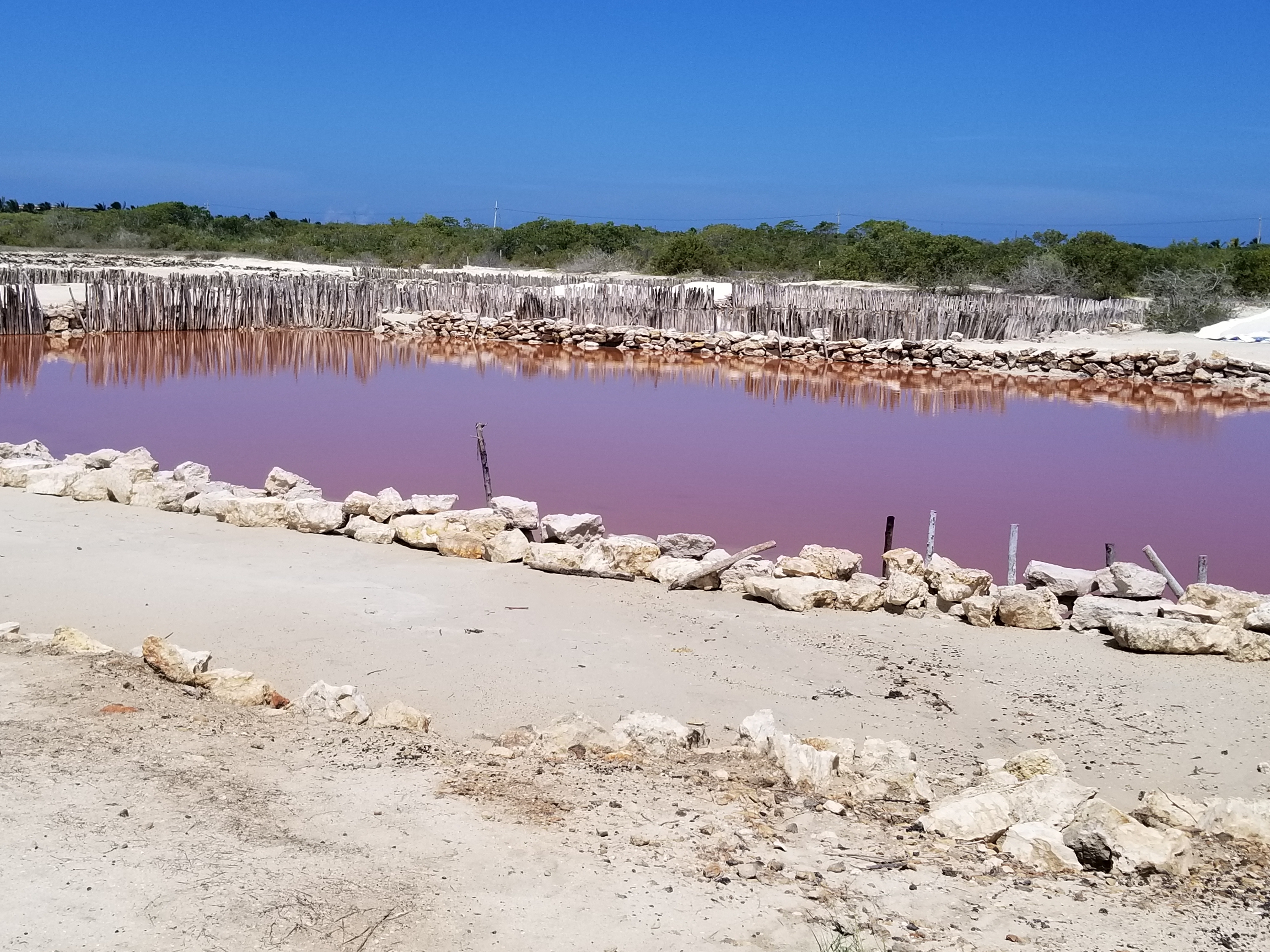 Xcambo Mayan Ruins, Flamingos, Pink Lagoon, and Beach Excursion Combo ...