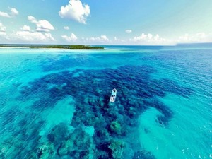 84 Best Cozumel Excursions | 92,000+ Verified Reviews