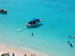 Barbados Swim with Turtles, Shipwreck Snorkel, and Beach Excursion ...